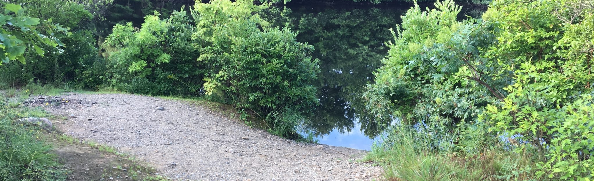 Pine Swamp Wildlife Corridor Yellow Loop: 31 Reviews, Map - Connecticut ...