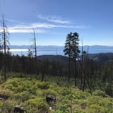 Tahoe Rim Trail (TRT) Complete Loop, California - 27 Reviews, Map ...