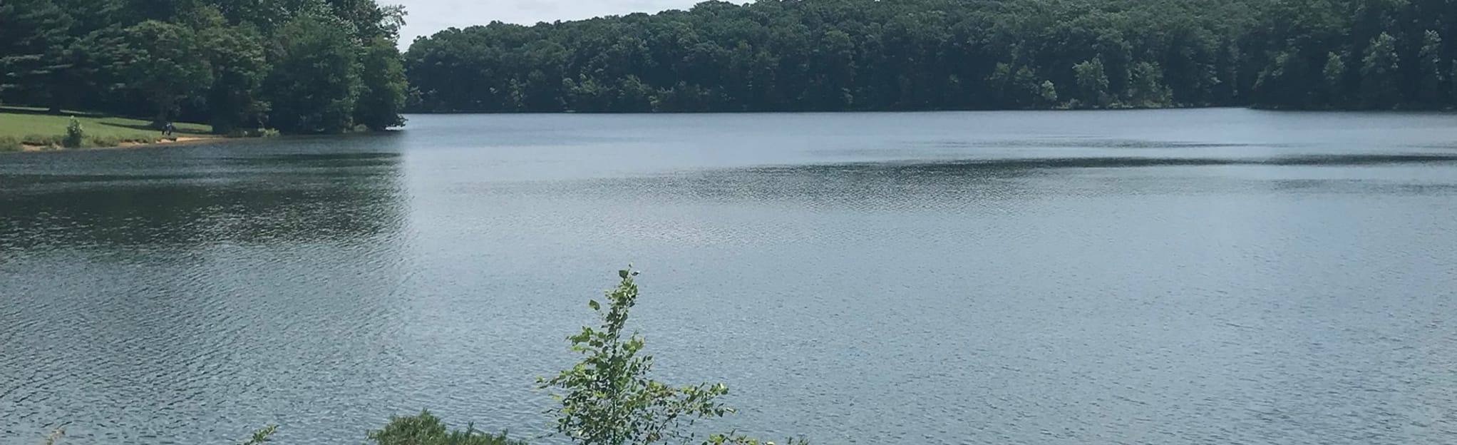 Old Pond Trail and Clopper Lake Loop Trail: 551 Reviews, Map - Maryland ...