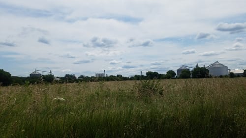 2023 Best Kid Friendly Trails in Midewin National Tallgrass Prairie ...