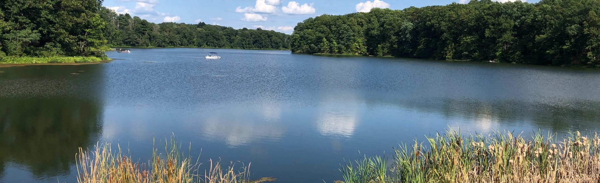 Shakamak Trail 4, Indiana - 141 Reviews, Map | AllTrails