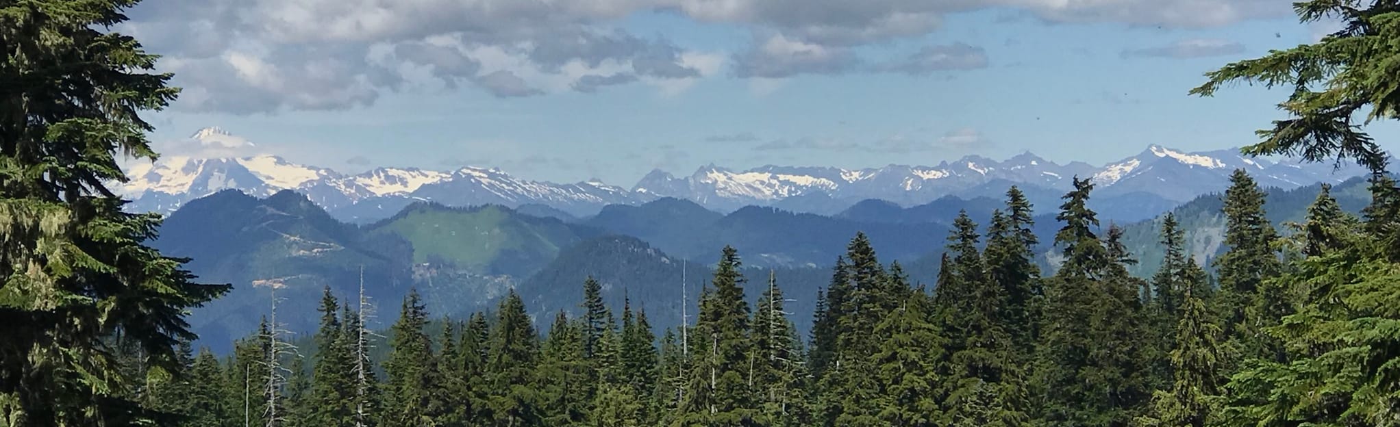 Fisher Lake via Tonga Ridge Trail, Washington - 132 Reviews, Map ...