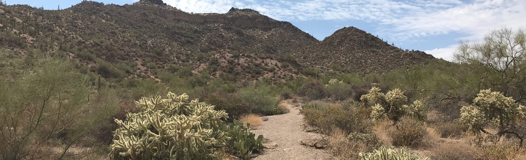 Usery Mountain Pass Bypass Trail, Arizona - 425 Reviews, Map | AllTrails