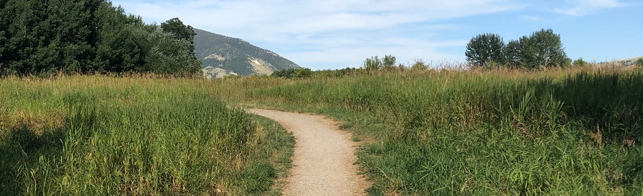 Glen Lake Rotary Park Loop: 189 Reviews, Map - Montana | AllTrails