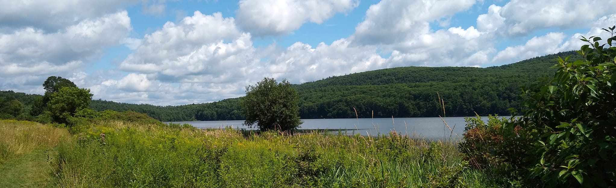 Colchester Pond: 721 Reviews, Map - Vermont | AllTrails