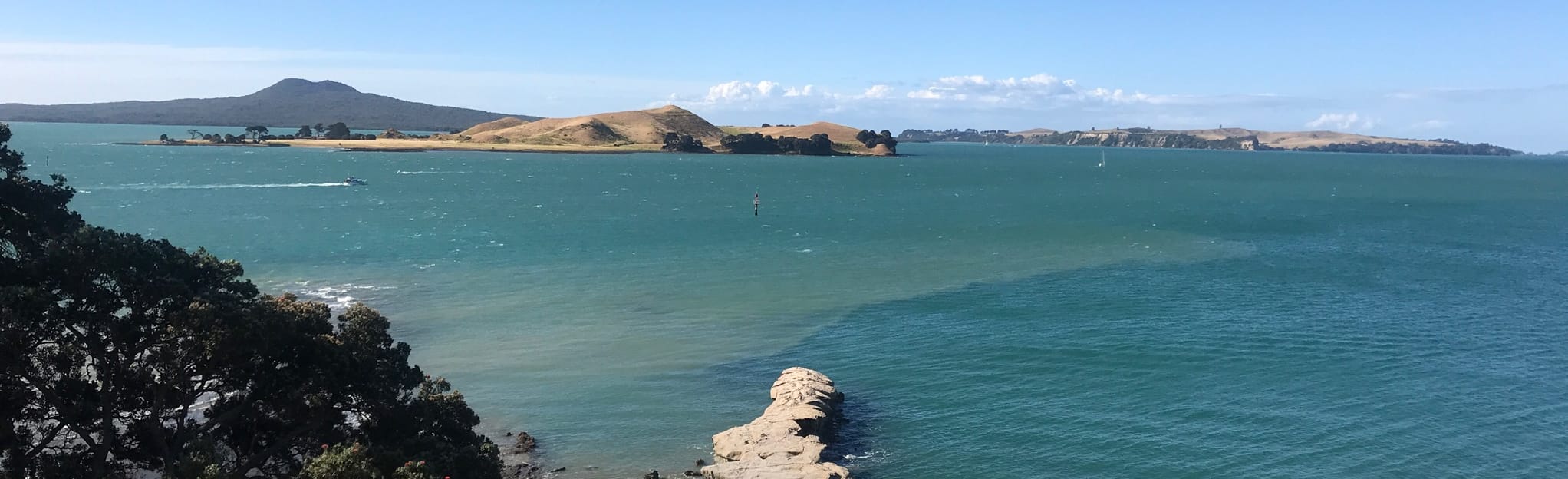 Musick Point Walk: 19 Reviews, Map - Auckland, New Zealand | AllTrails