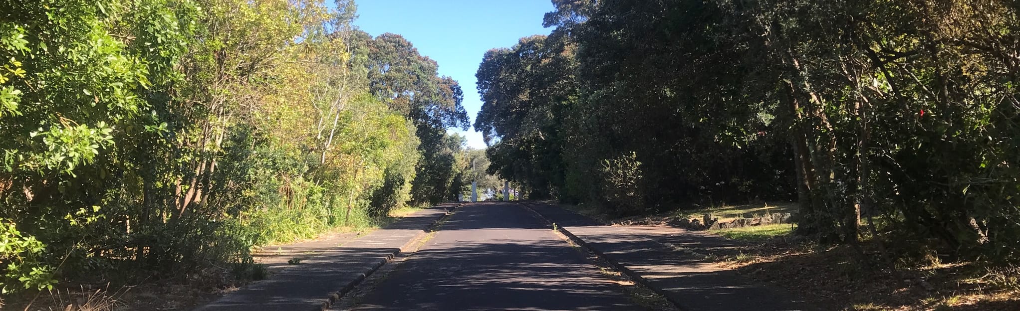 Musick Point Path, Auckland, New Zealand - 16 Reviews, Map | AllTrails