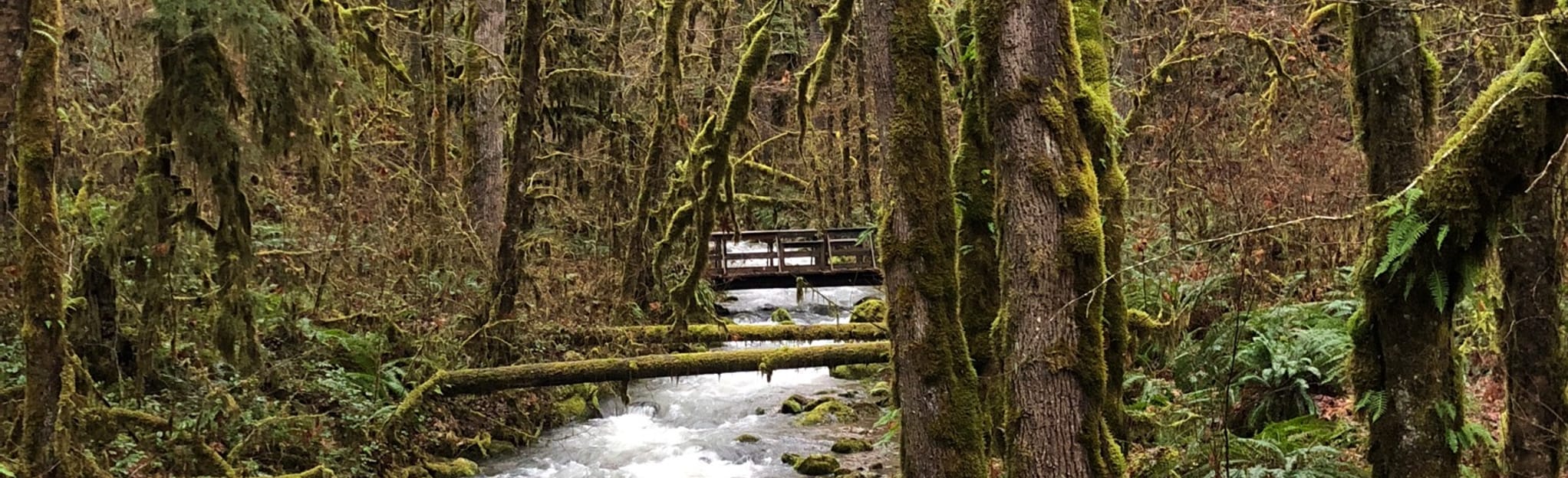 Walton Ranch Interpretive Trail #4170, Oregon - 15 Reviews, Map | AllTrails