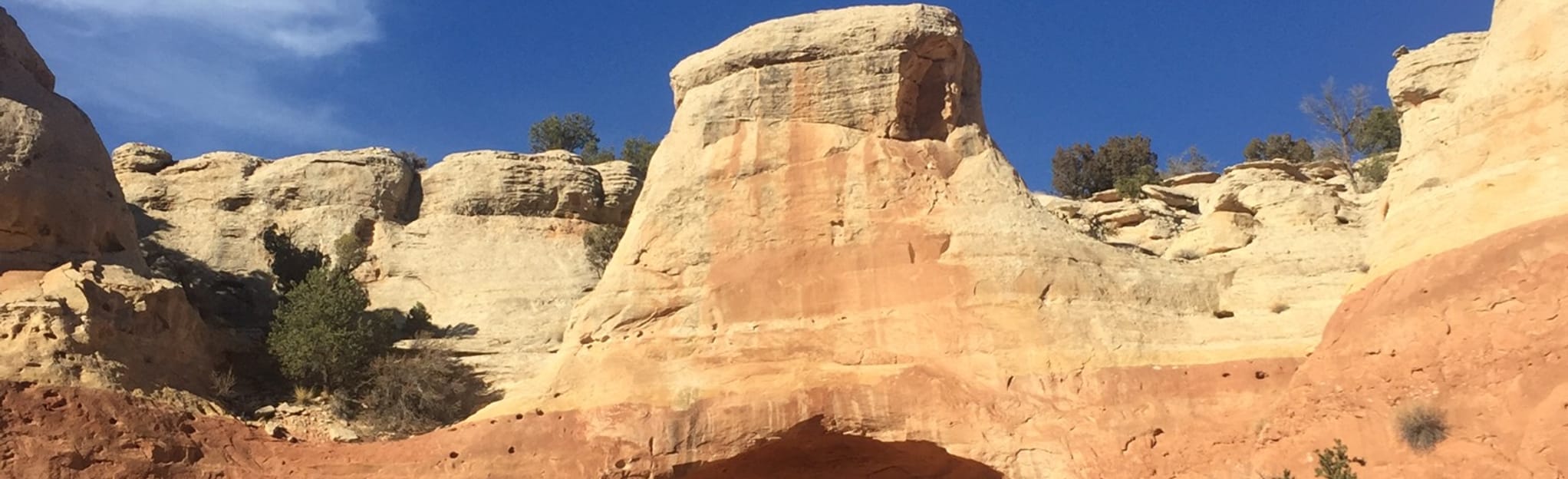 Sand Canyon Trail, Colorado - 810 Reviews, Map | AllTrails