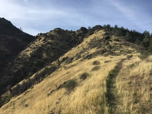 10 Best Waterfall Trails in Mount Diablo State Park | AllTrails
