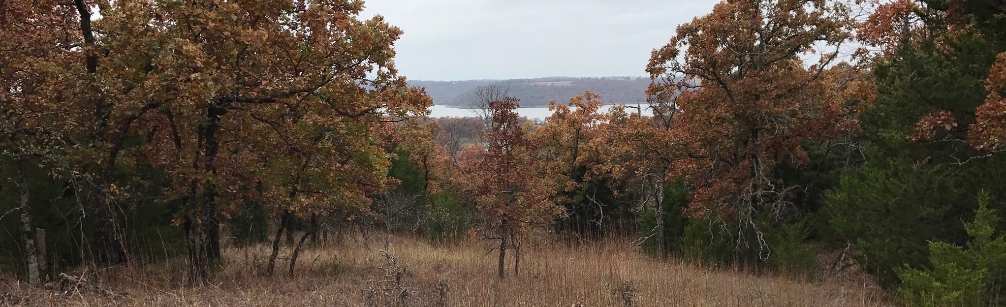 Arrowhead State Park South Loop, Oklahoma - 23 Reviews, Map | AllTrails