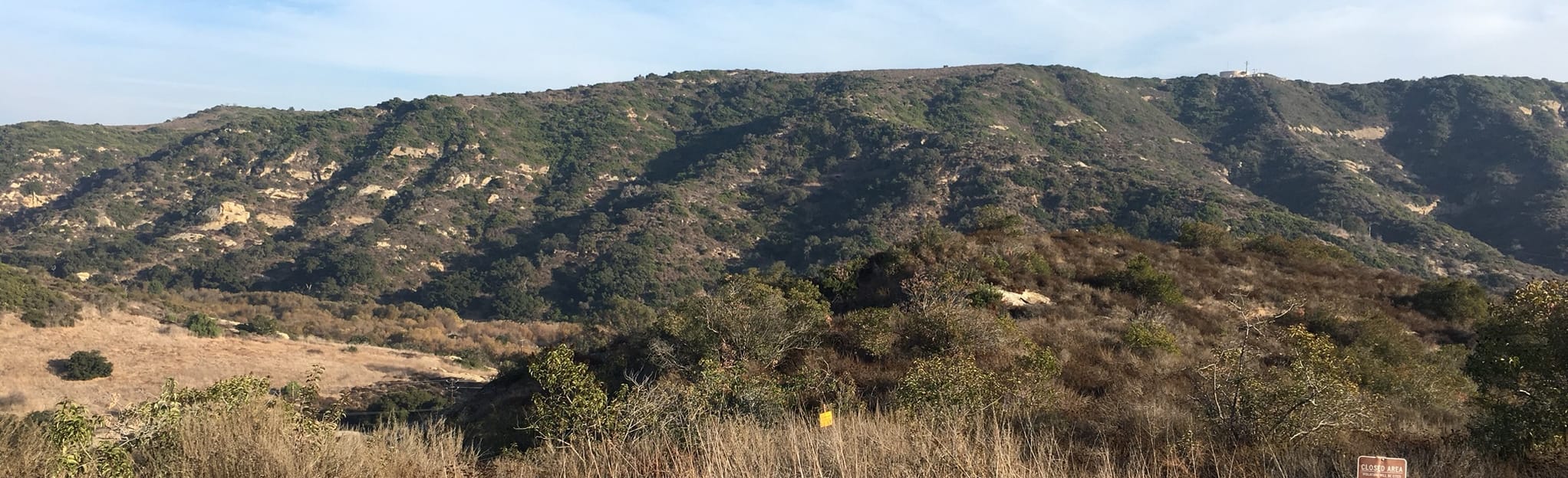 Willow Trail, Lizard Trail, Laurel Spur Trail - California | AllTrails