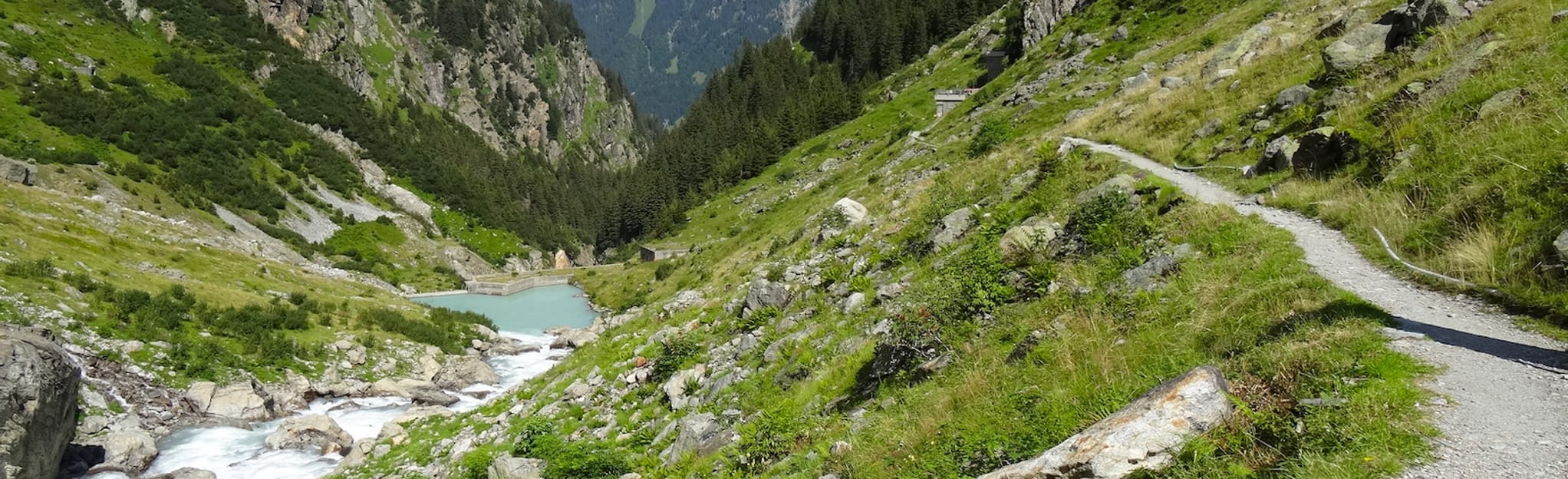 AllTrails | Trift Bridge - Trifthütte via Triftbahn: 6 Reviews, Map ...