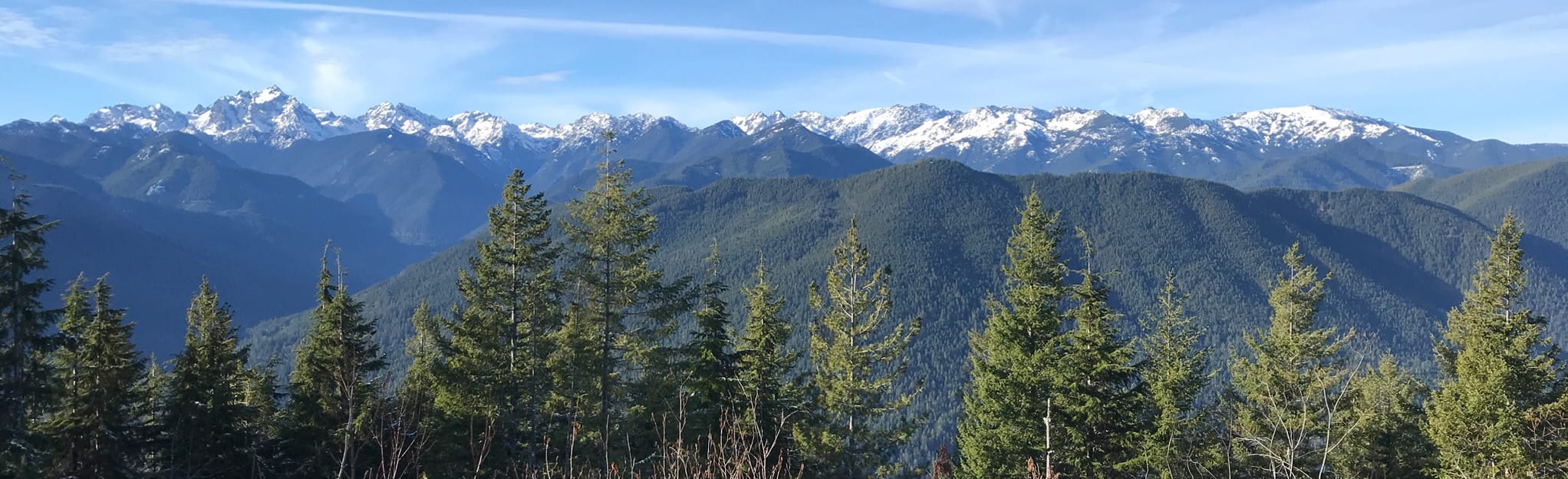 Mount Walker, Washington - 1,978 Reviews, Map | AllTrails