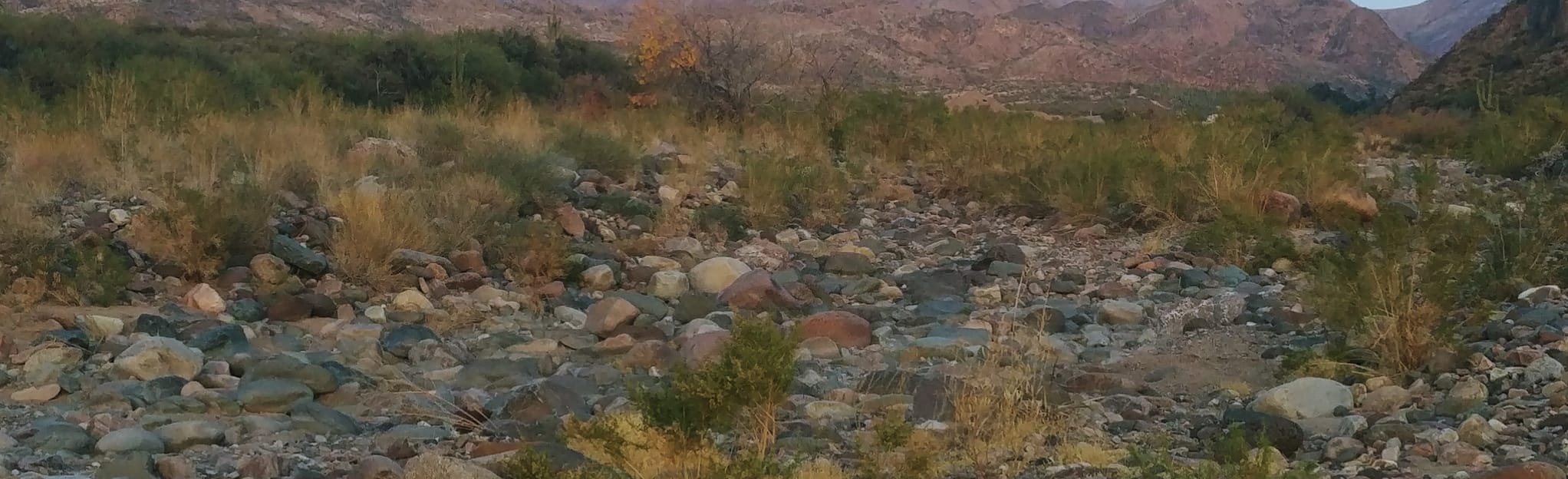 Table Mesa (Mountain), Arizona - 19 Reviews, Map | AllTrails