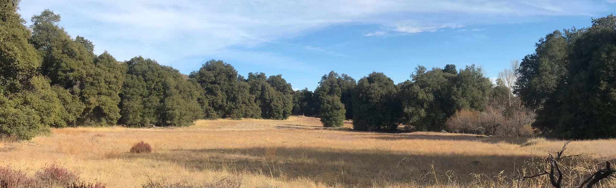 Barker Valley Spur Trail: 125 Reviews, Map - California | AllTrails