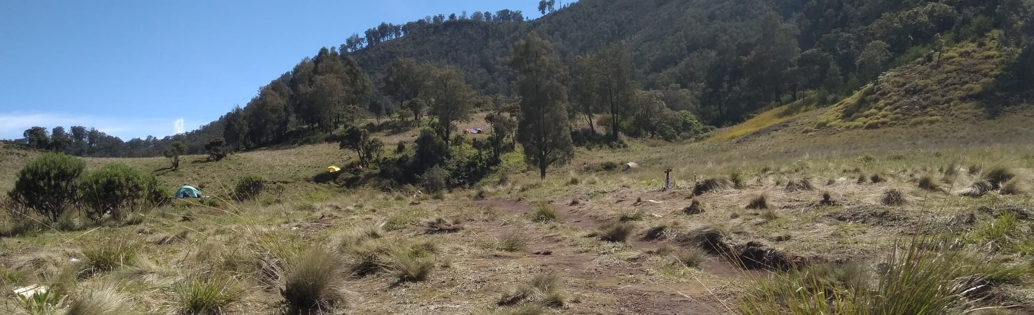 Mount Butak - Mount Kawi, East Java, Indonesia - 2 Reviews, Map | AllTrails