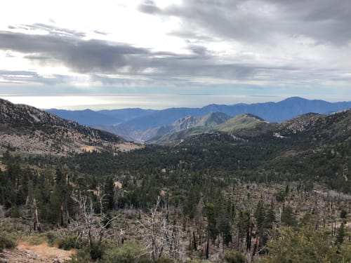 2023 Best 10 Trails and Hikes in Azusa | AllTrails