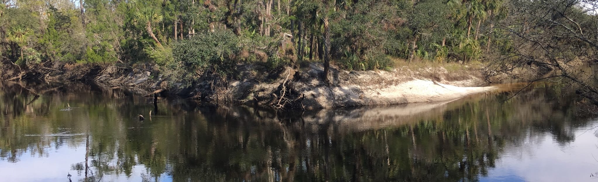 Little Big Econ State Forest Loop: 233 Reviews, Map - Florida | AllTrails