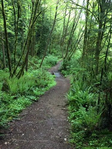 10 Best Trails and Hikes in Gig Harbor | AllTrails