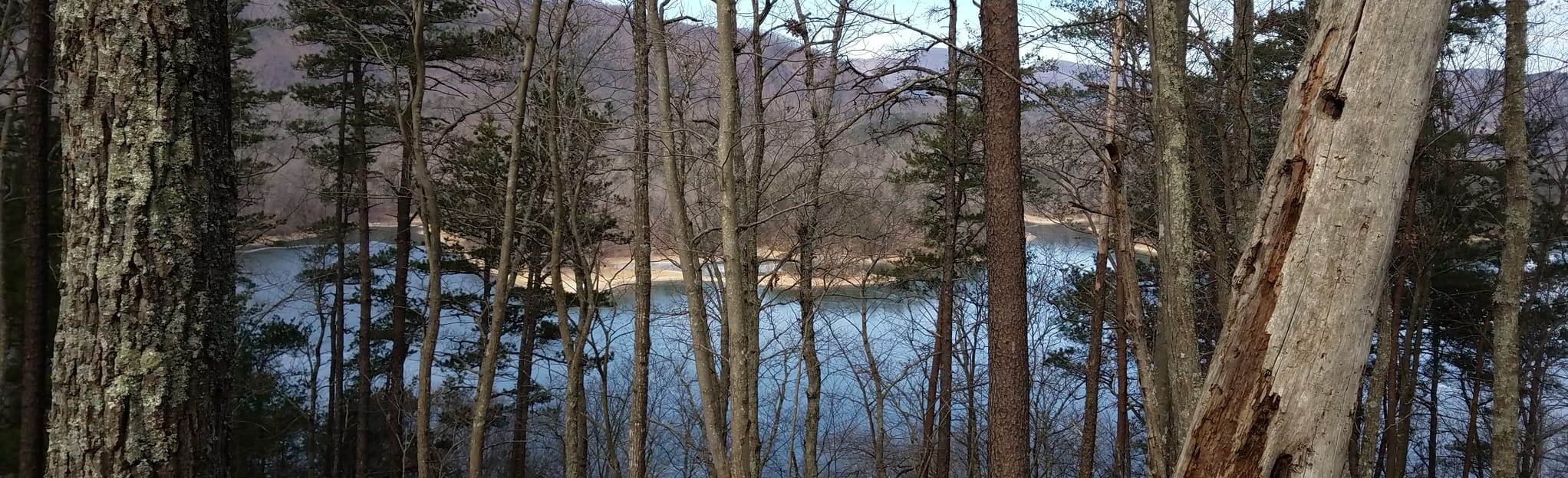 Carvins Cove Reservoir Trail, Virginia - 278 Reviews, Map | AllTrails