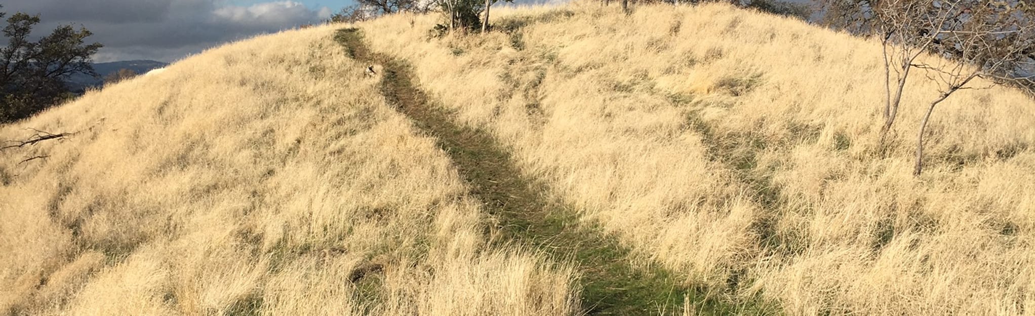 Drakes Point/Old Rocky Trail, California - 127 Reviews, Map | AllTrails