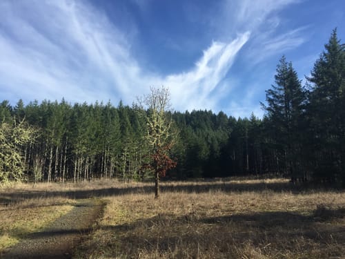 Best Hikes and Trails in Beazell Forest Park | AllTrails