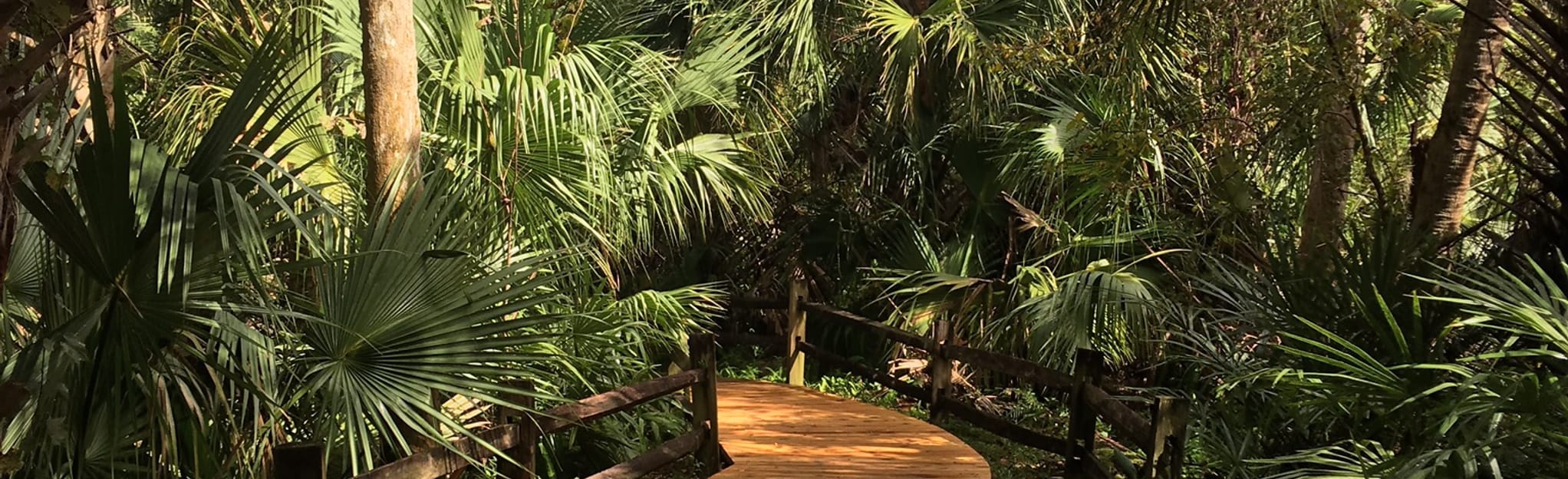 Juniper Springs Nature Trail [CLOSED]: 91 Reviews, Map - Florida ...