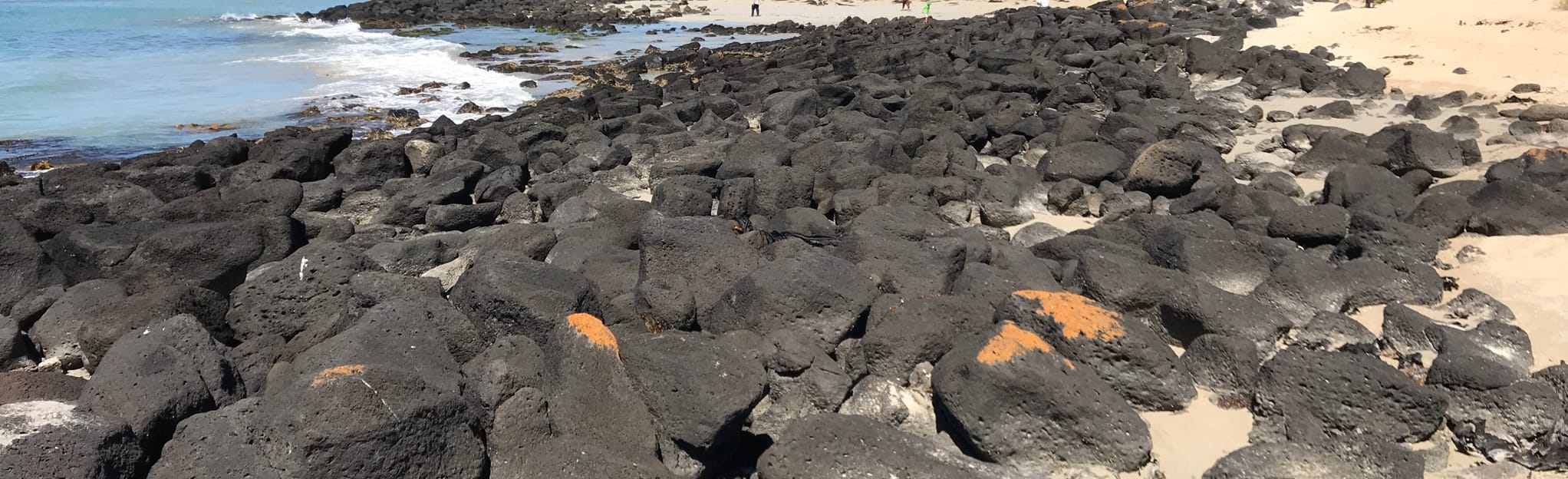 Griffith Island Circuit, Victoria, Australia - 112 Reviews, Map | AllTrails