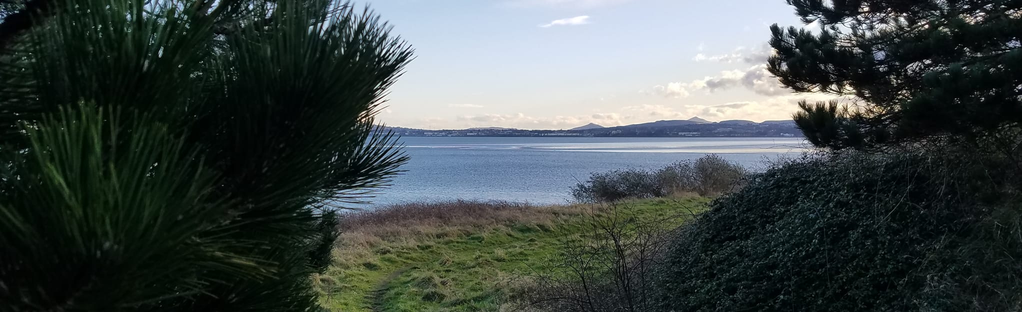 Seán Moore Park Loop, County Dublin, Ireland - 10 Reviews, Map | AllTrails