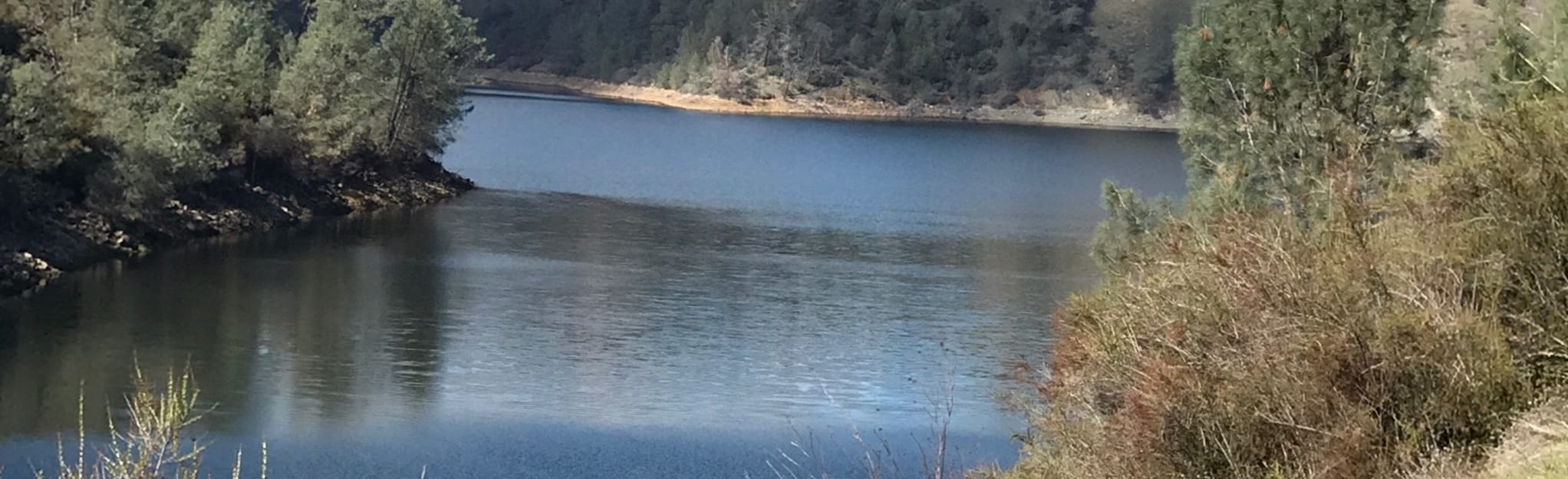 The Pardee Section of the Mokelumne Coast to Crest Trail: 120 Reviews ...