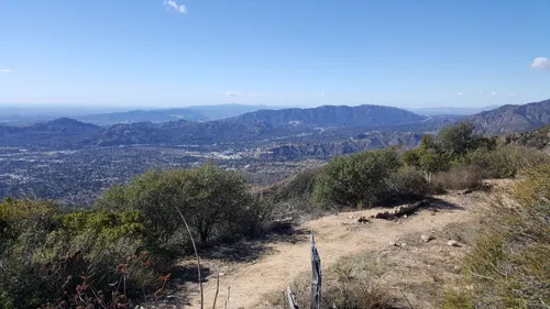 10 Best Trails and Hikes in Altadena | AllTrails