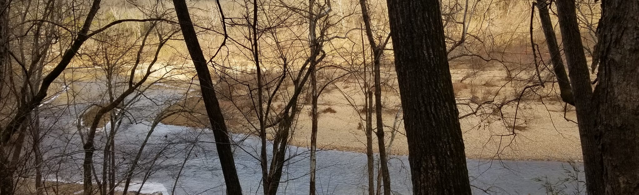 Dillards Ferry Bluff Line Bushwhack | Map, Guide - Arkansas | AllTrails