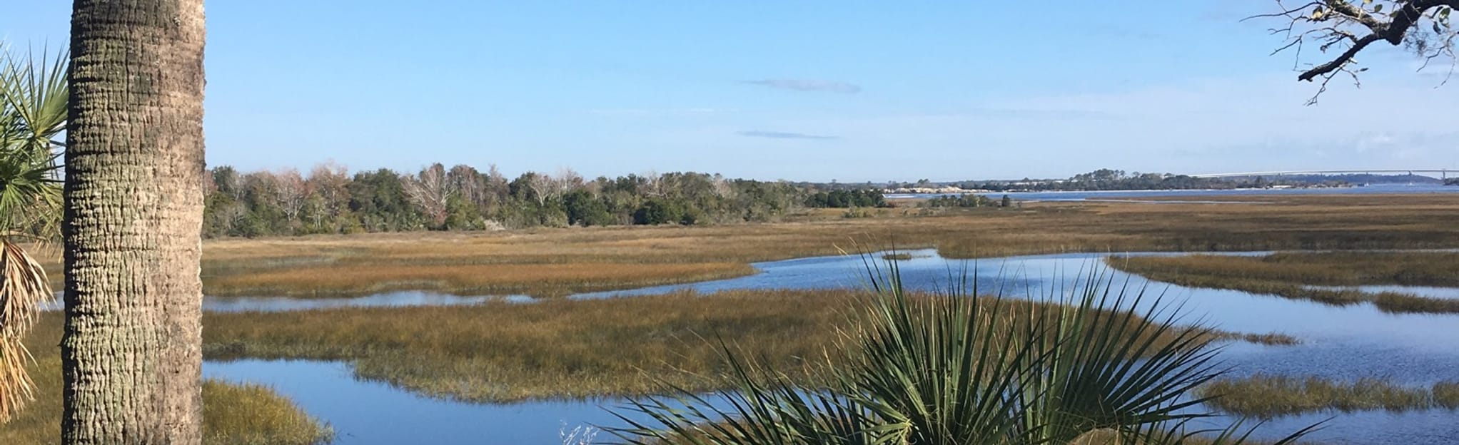 Spanish Pond Loop Trail, Florida - 912 Reviews, Map | AllTrails