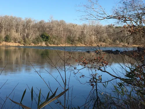 Best Hikes and Trails in Harbison State Forest | AllTrails