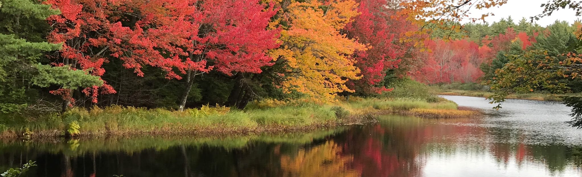 Mill Falls: 100 Reviews, Map - Nova Scotia, Canada | AllTrails