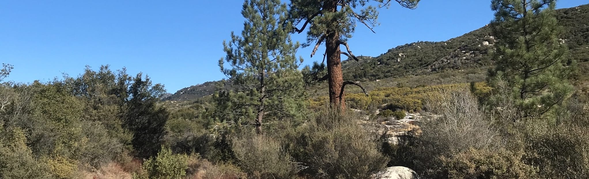 Fisherman's Point via Idyllwild Control Road: 12 Reviews, Map ...