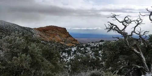 10 Best Hikes and Trails in Spring Mountains National Recreation Area ...