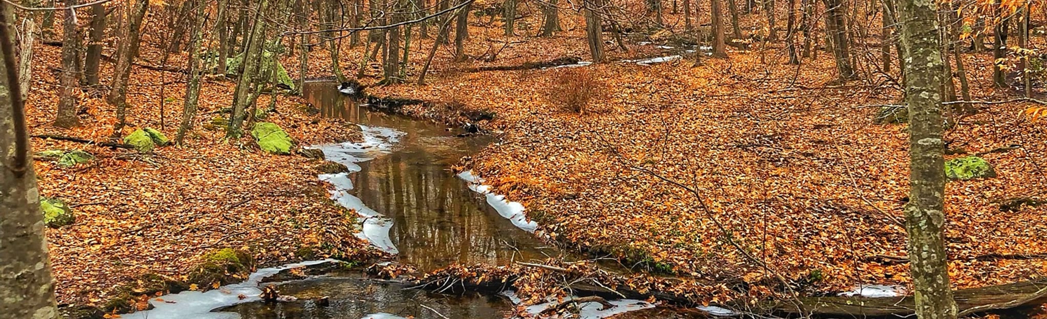 East River Preserve Loop Trail: 401 Reviews, Map - Connecticut | AllTrails