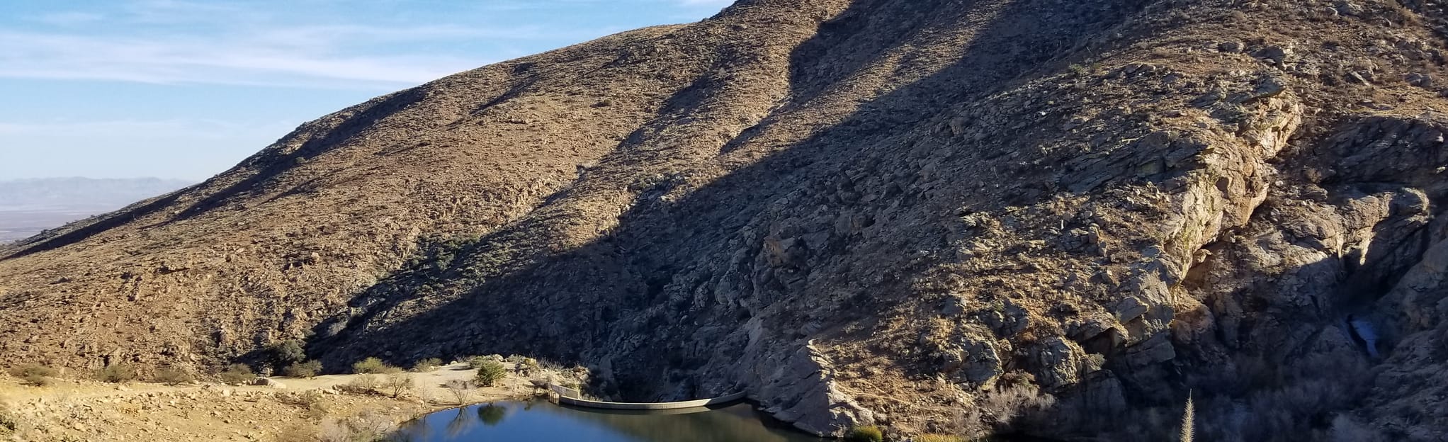 Frye Canyon Trail #36: 18 Reviews, Map - Arizona | AllTrails