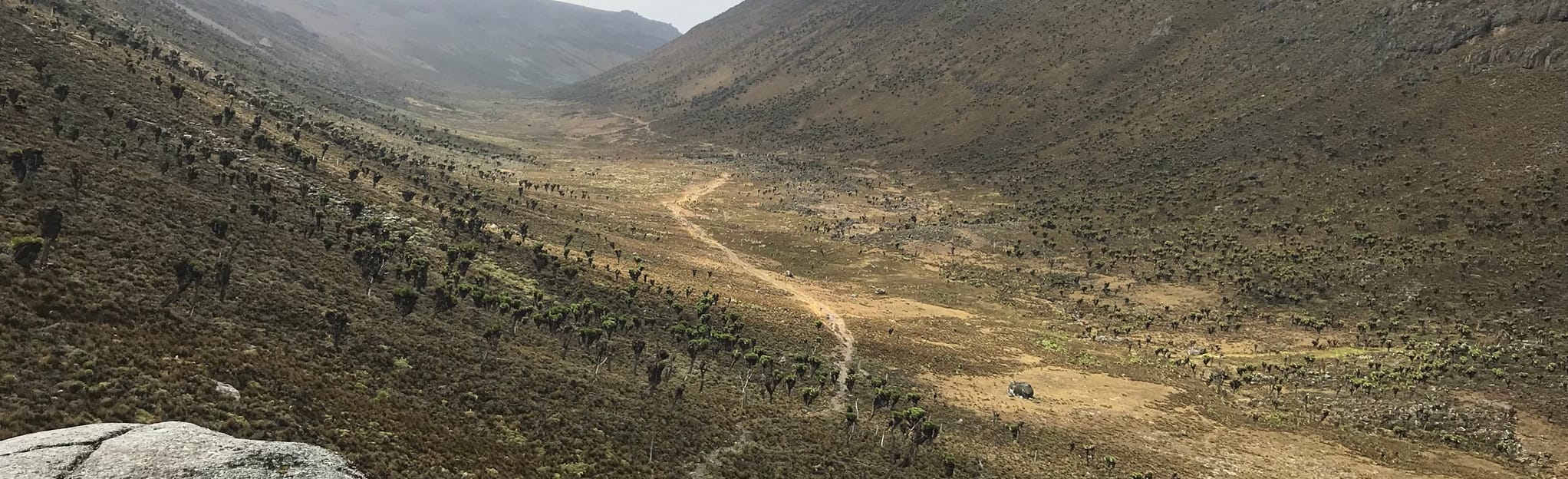 Mount Kenya Summit: Sirimon Route - Central, Kenya | AllTrails