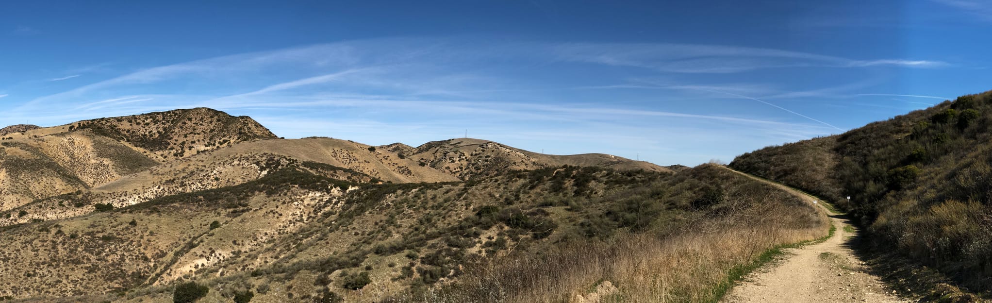 Cheeseboro Canyon to Palo Comado Canyon Loop, California - 96 Reviews ...