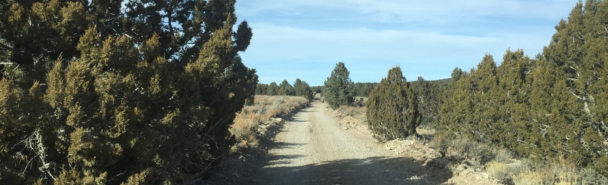 Mormon Well Road: 177 Reviews, Map - Nevada | AllTrails