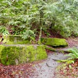 High Point Trail, Washington - 214 Reviews, Map | AllTrails