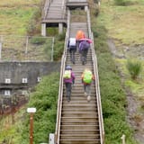 High Point Trail, Washington - 214 Reviews, Map | AllTrails