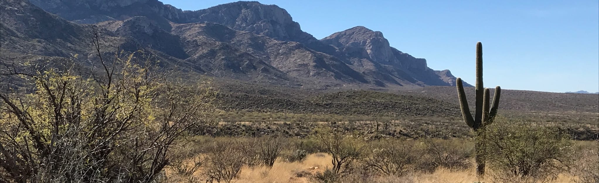 Dripping Spring via the Sutherland Trail, Arizona - 1,061 Reviews, Map ...