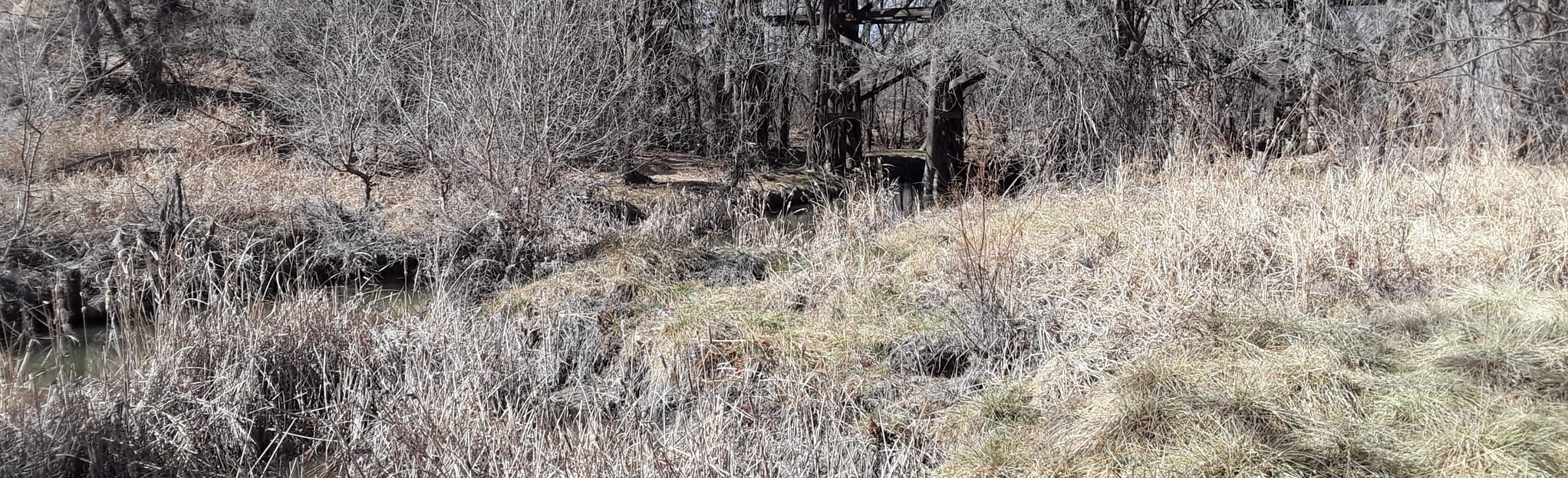 Dunbar Historical Lake West Loop | Map, Guide - Texas | AllTrails