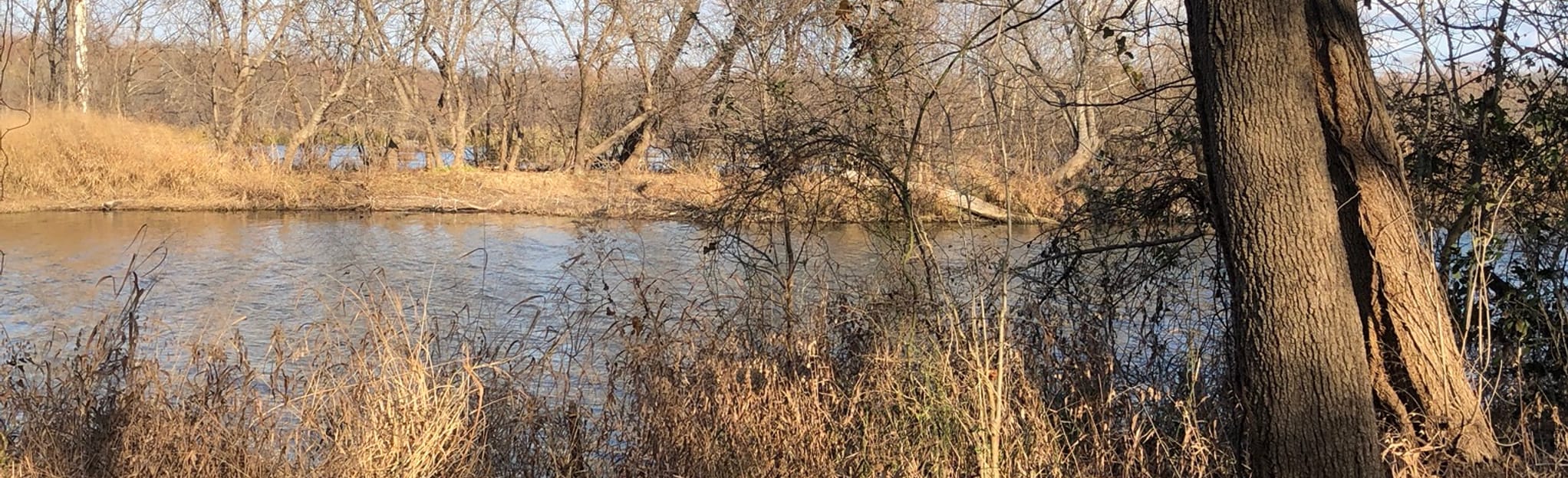 Riverbottom Trail: 176 Reviews, Map - Texas | AllTrails