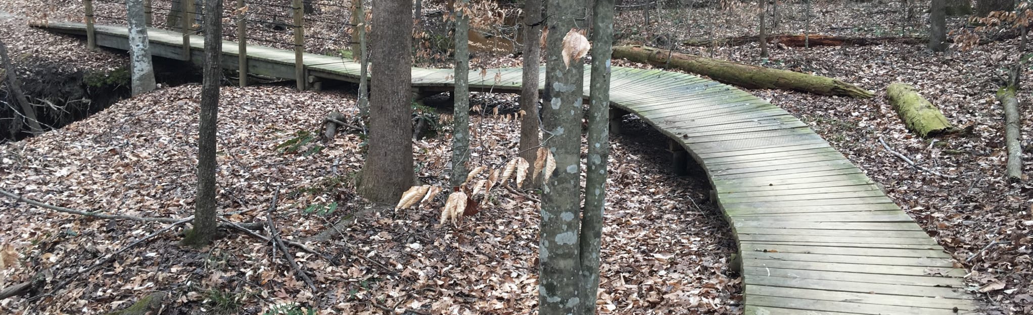 Rope Mill Loop, Georgia - 820 Reviews, Map | AllTrails