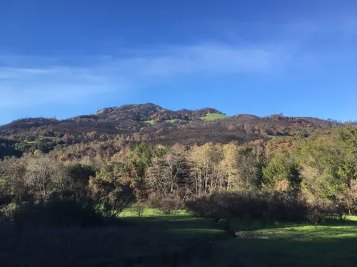 10 Best Hikes and Trails in Sugarloaf Ridge State Park | AllTrails